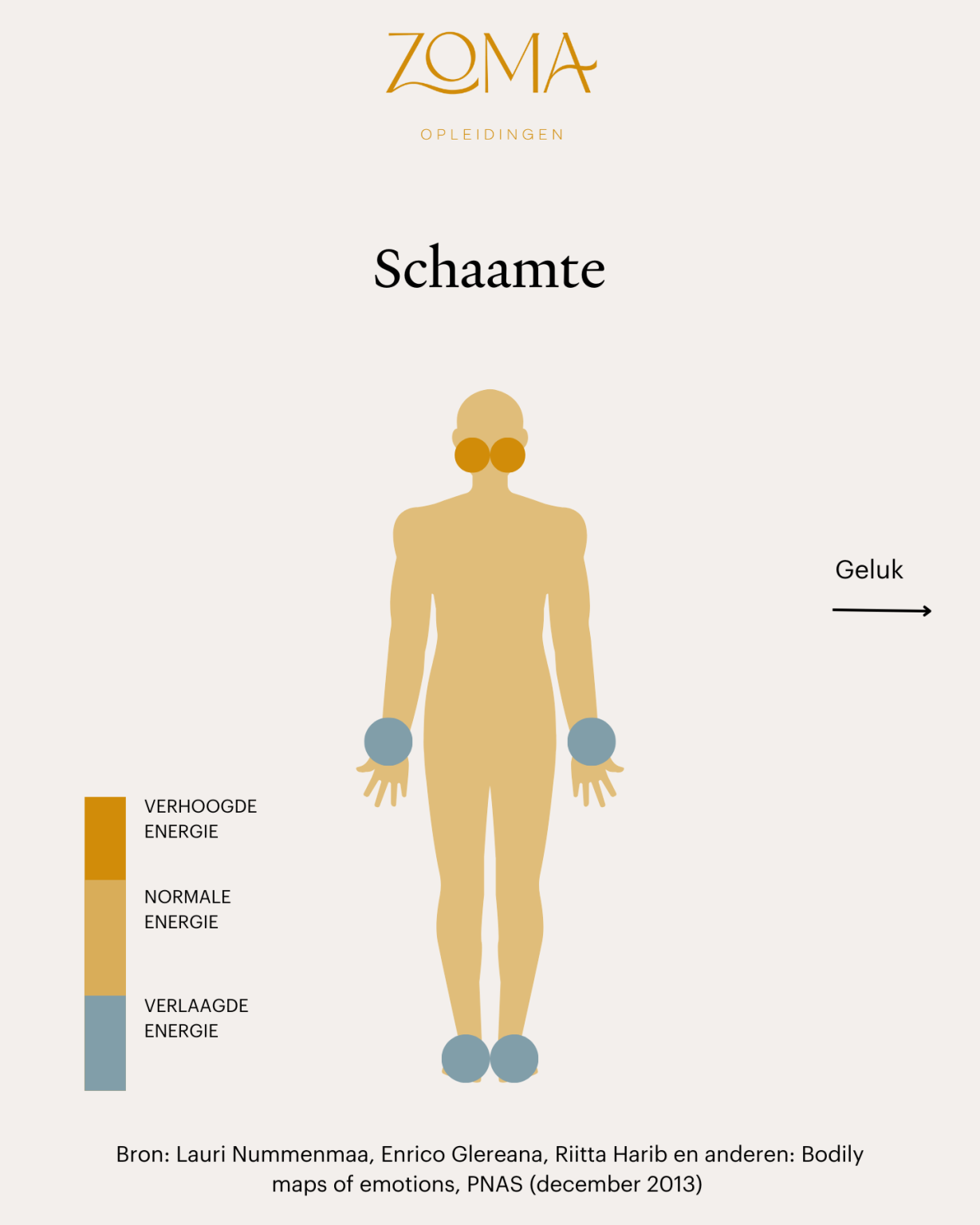 Emoties voelen in je lichaam - ZoMa Opleidingen