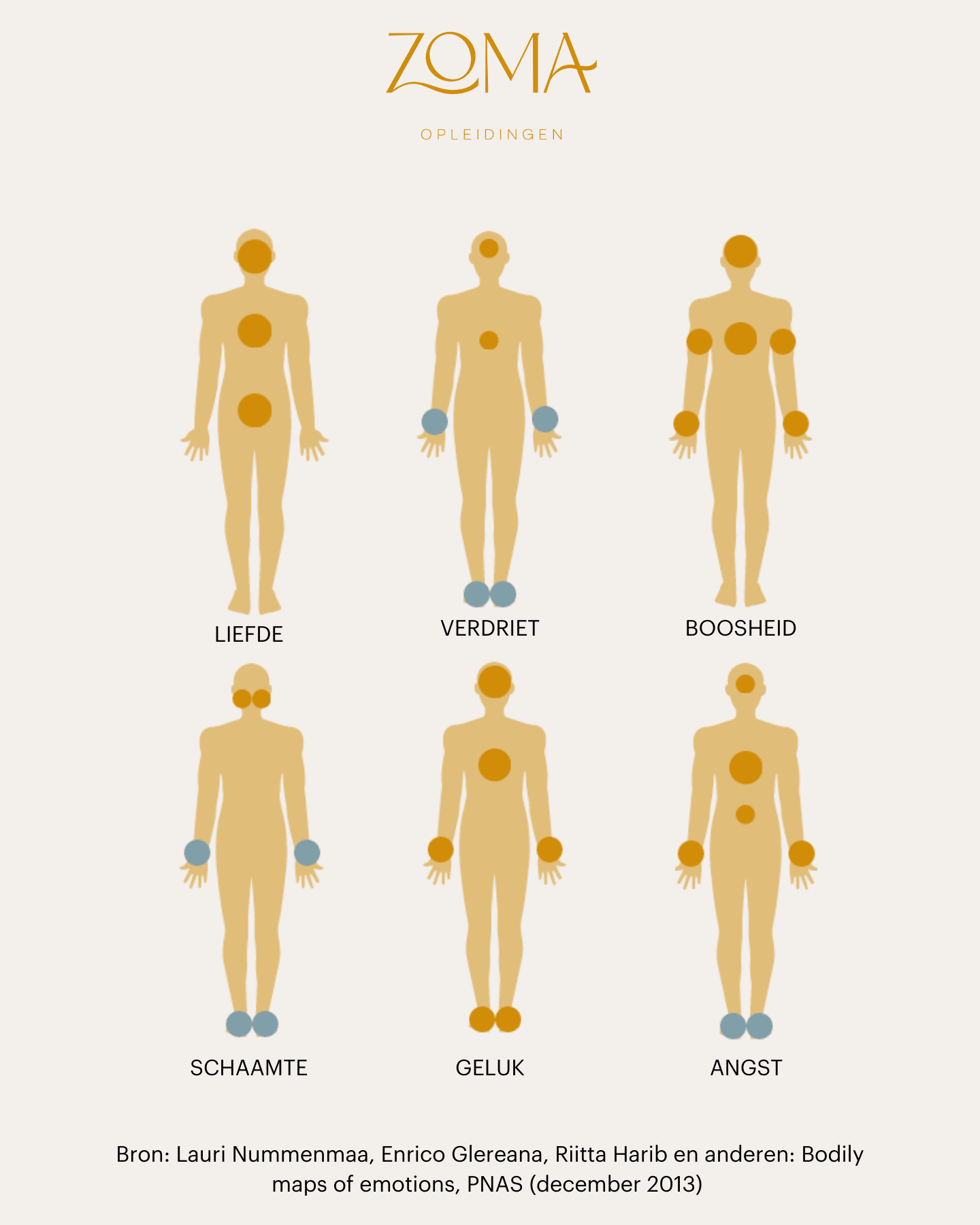 Emoties voelen in je lichaam - ZoMa Opleidingen